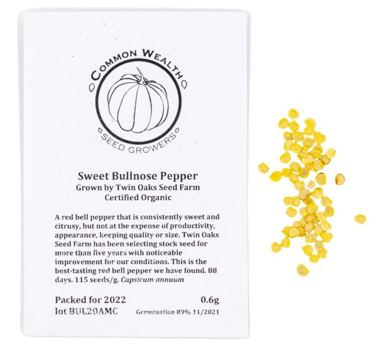 Southern Seeds Worth Saving - The Local Palate