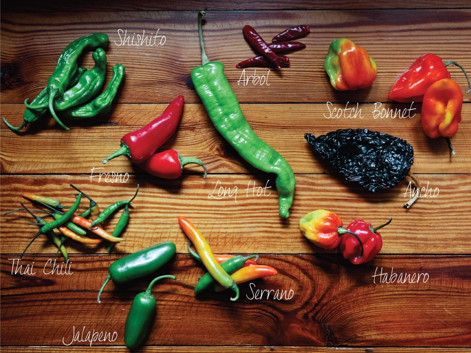 Guide to Peppers: Peppers 101 | #site_title