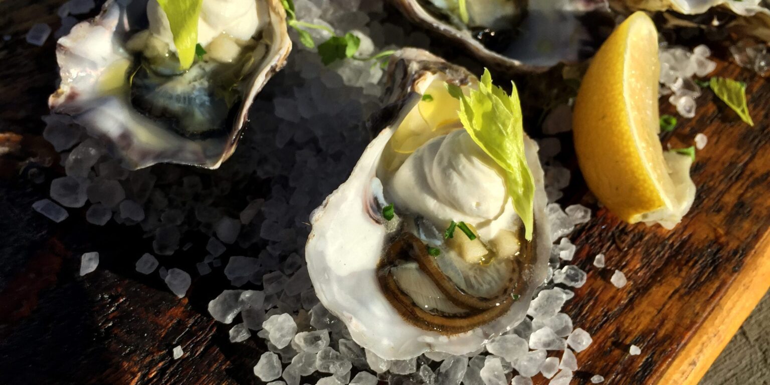 Five Ways to Celebrate Oyster Season - The Local Palate