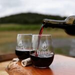 Monticello Wine Trail: 20 Award-Winning Wineries to Visit in Virginia