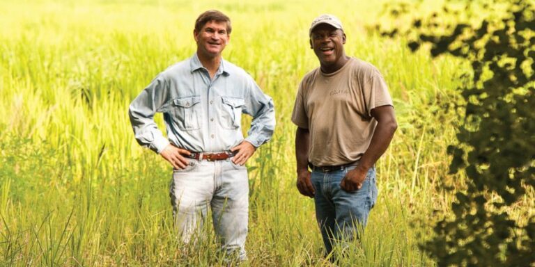 Golden Standard of Carolina Gold Rice - The Local Palate